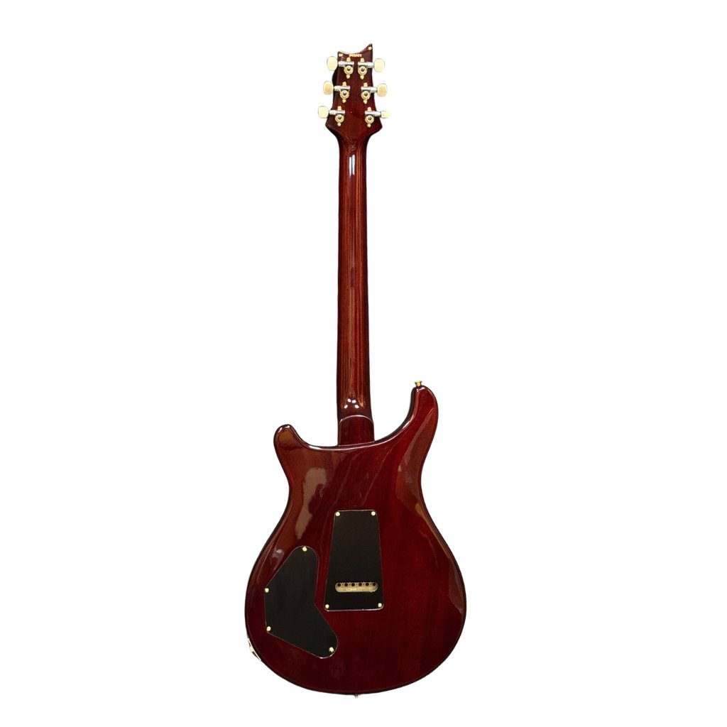 PRS DGT 10-Top Electric Guitar with Bird Inlays